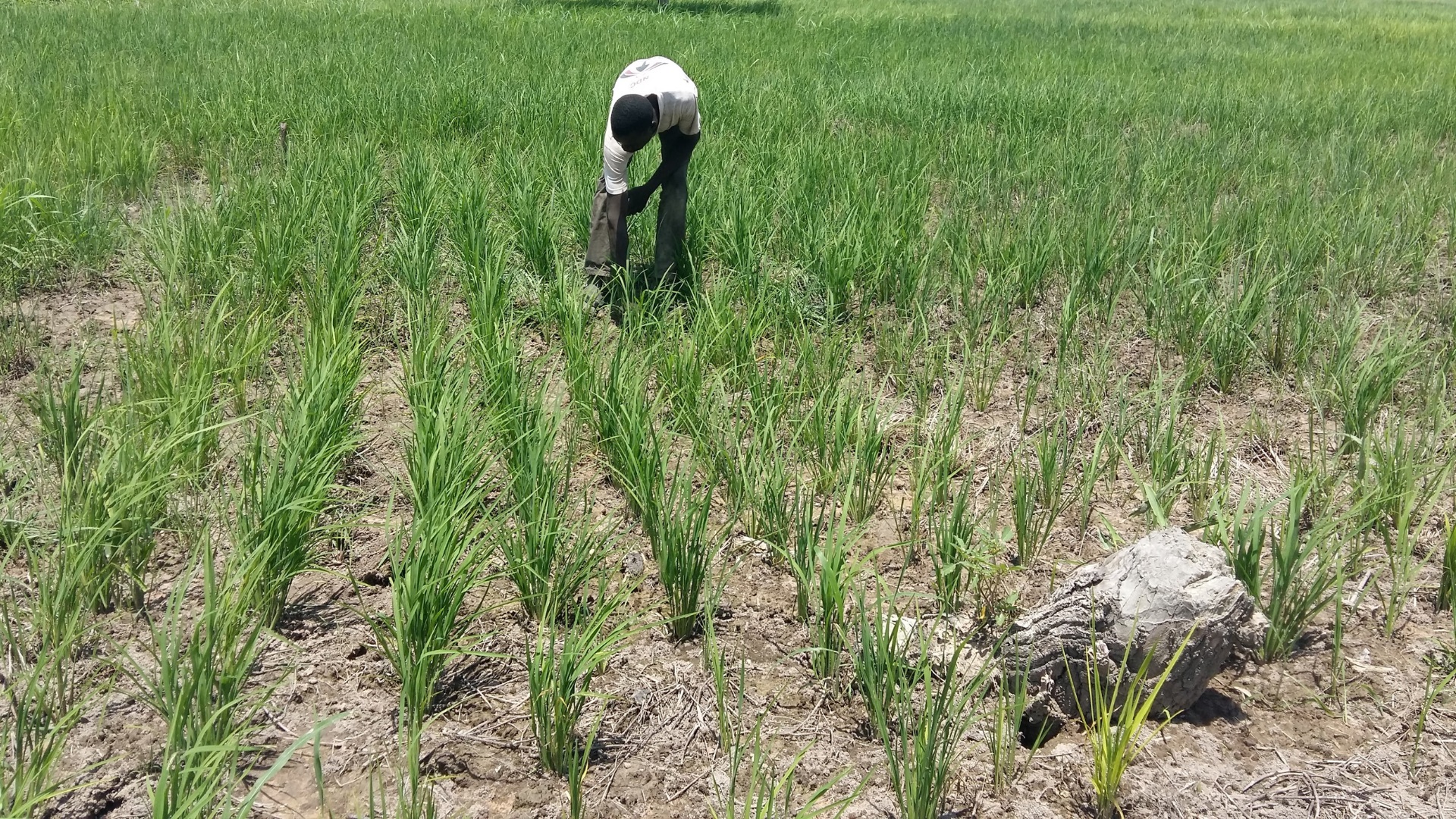 ACENSIA Home - ACENSIA